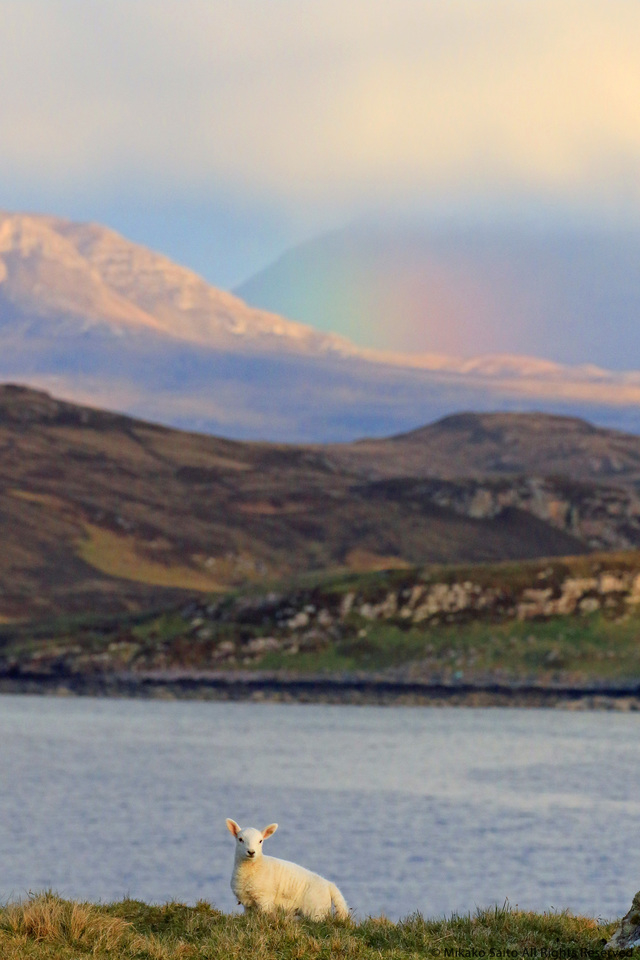 Reiff, Scotland – フォークランドの風